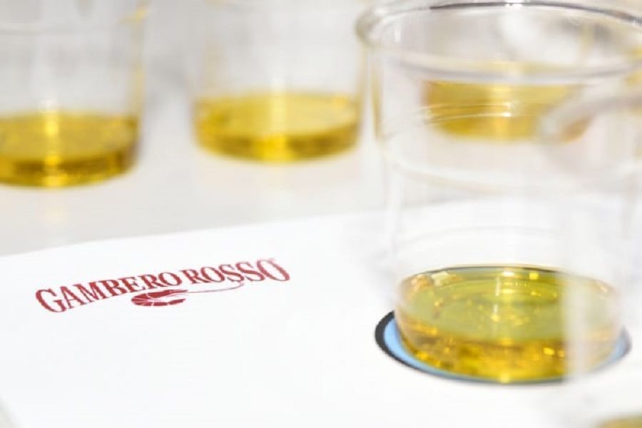 The best olive oils from Basilicata - Gambero Rosso International