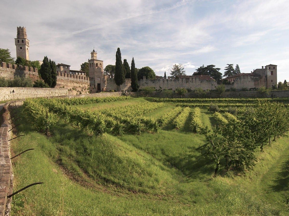 Find out more about Conte Collalto - Gambero Rosso International