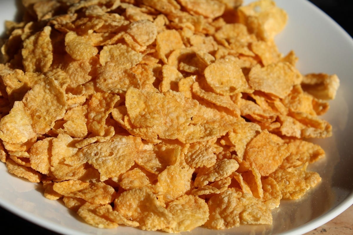 Corn Flakes History Origins And Curiosities Gambero Rosso International Corn Flakes History Origins And Curiosities Gambero Rosso International