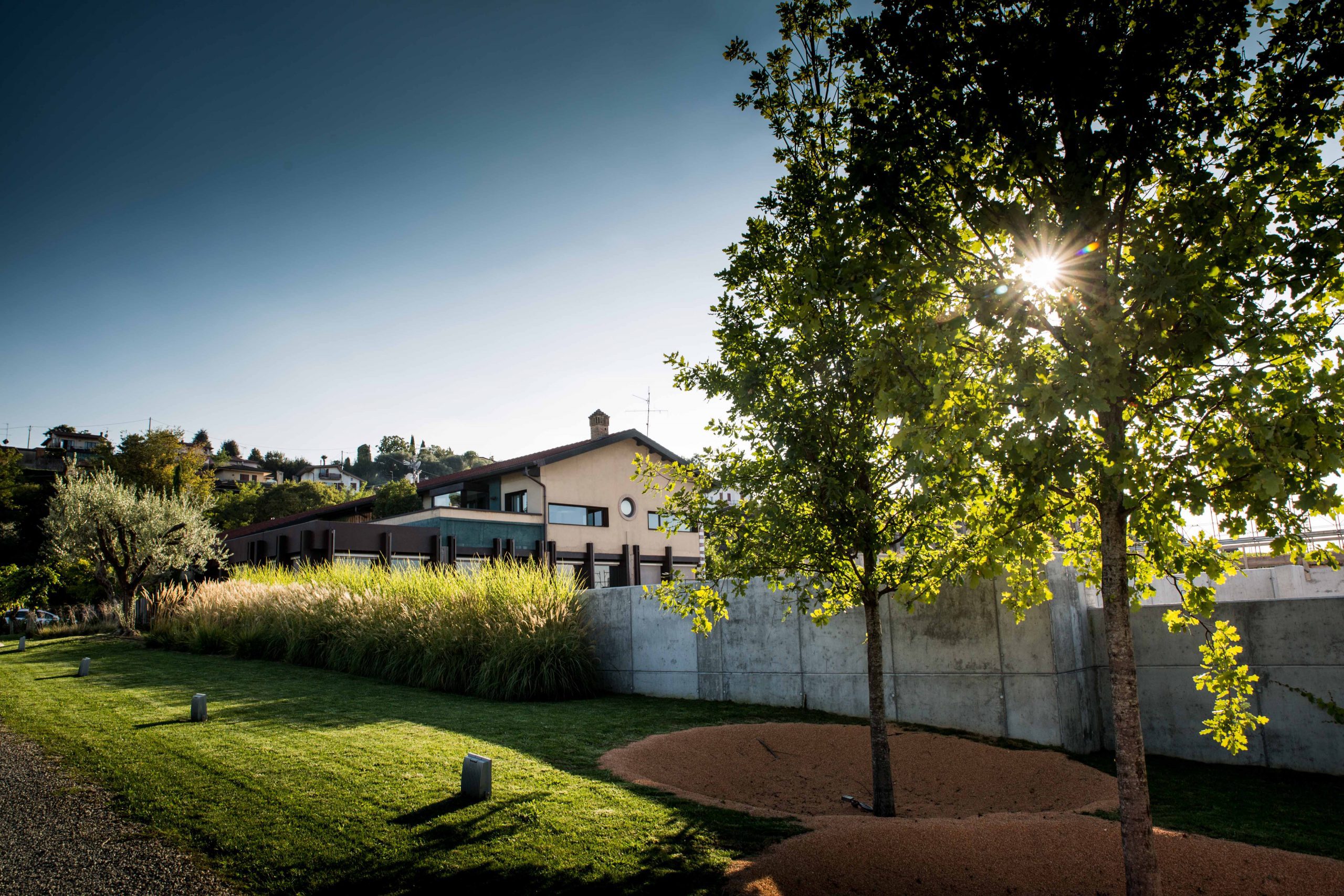 Ottella winery and its flagship wine Molceo - Gambero Rosso International