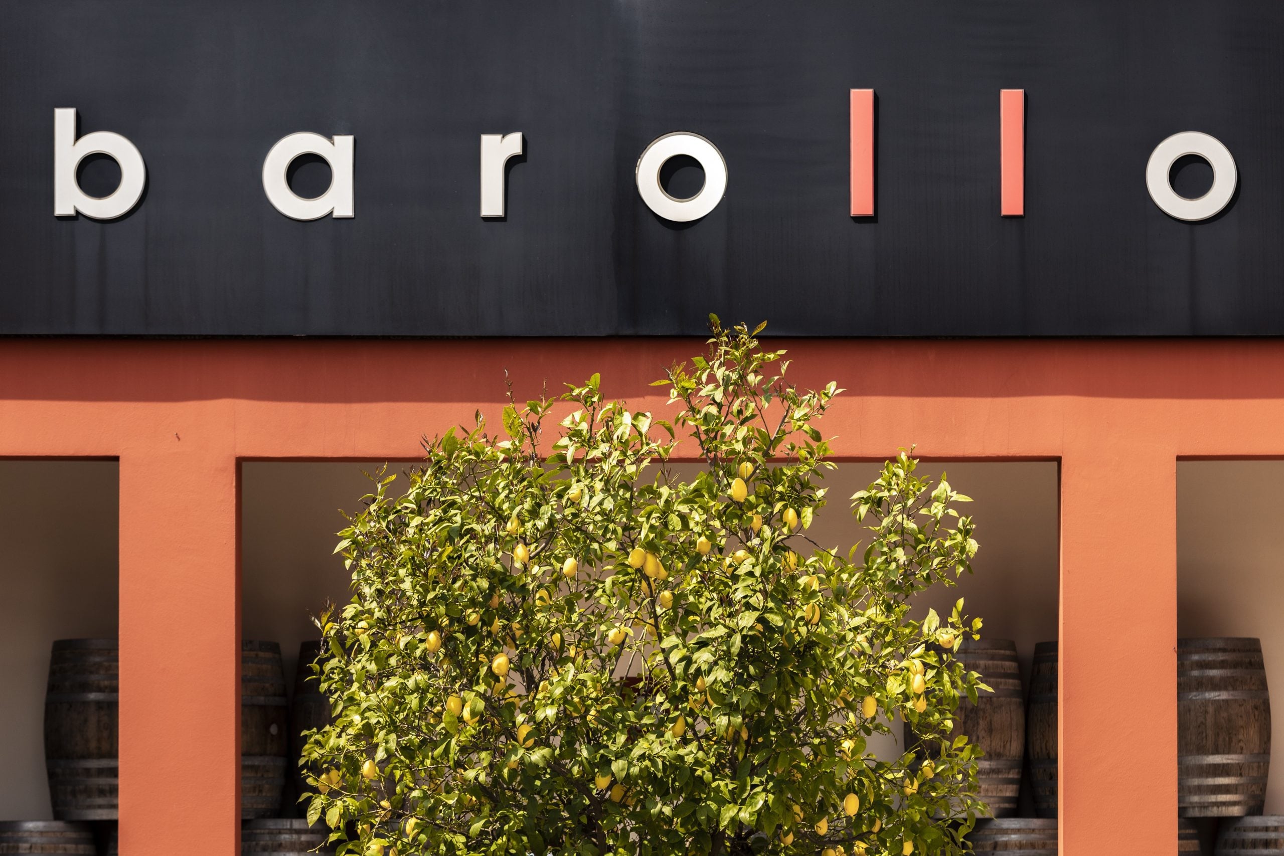 Here’s the history of the Veneto-based Barollo winery - Gambero Rosso ...