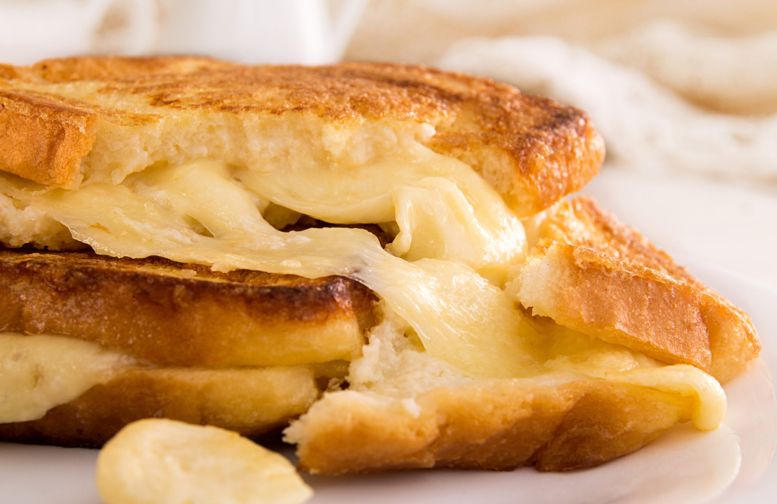 3 delicious cheese recipes - Gambero Rosso International
