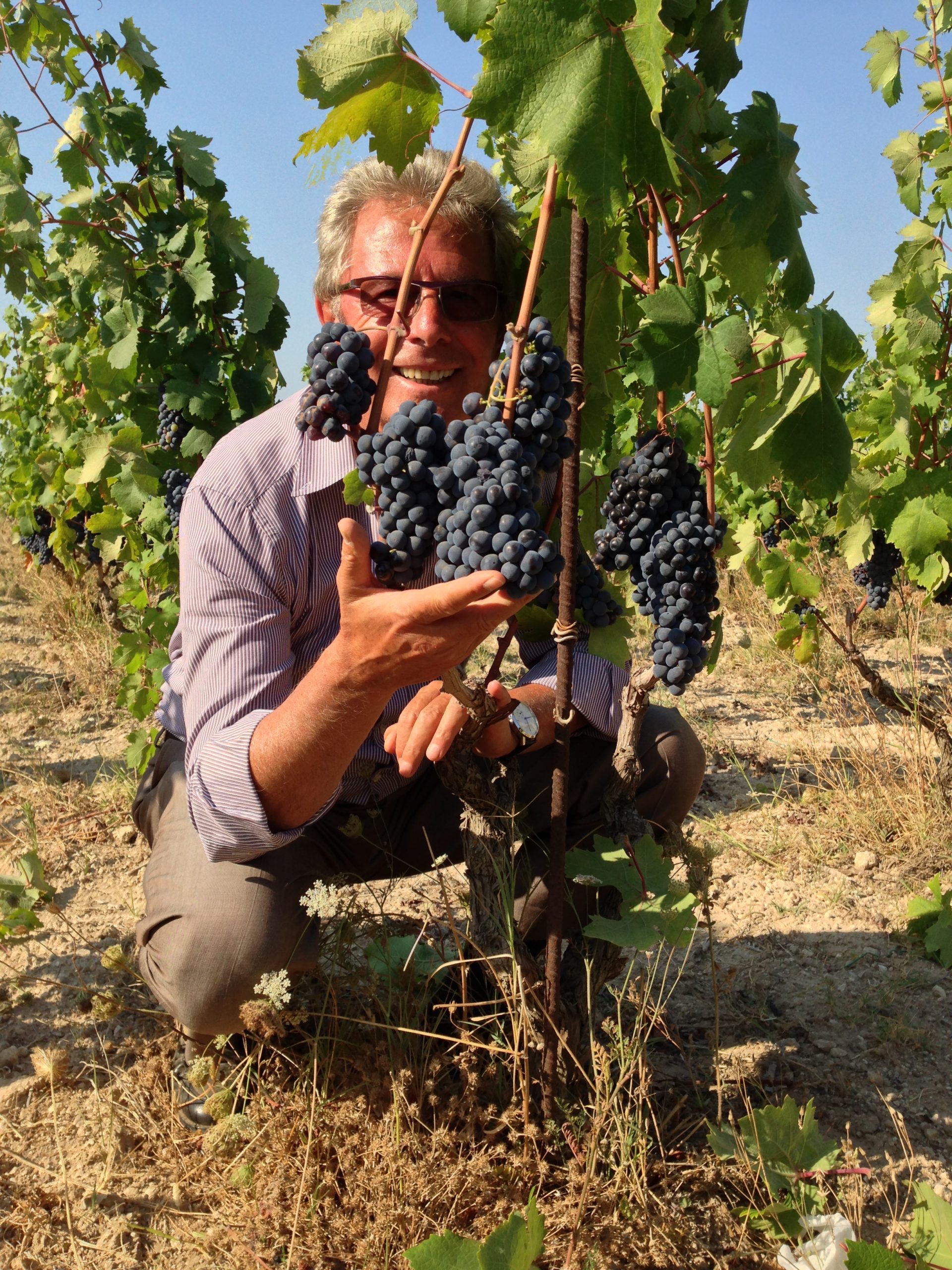 Here’s the history of the award-winning winery Due Palme - Gambero ...