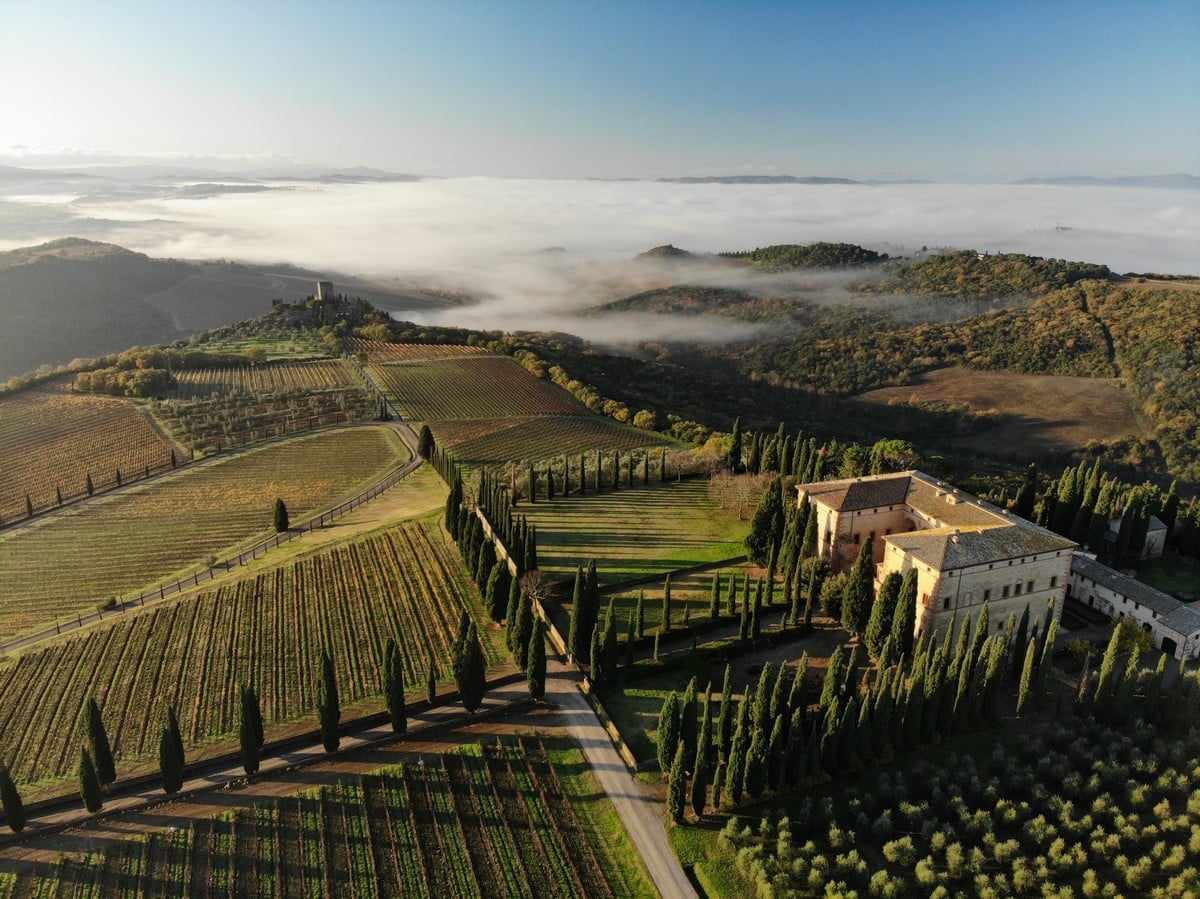 The story of Argiano's wines - Gambero Rosso International