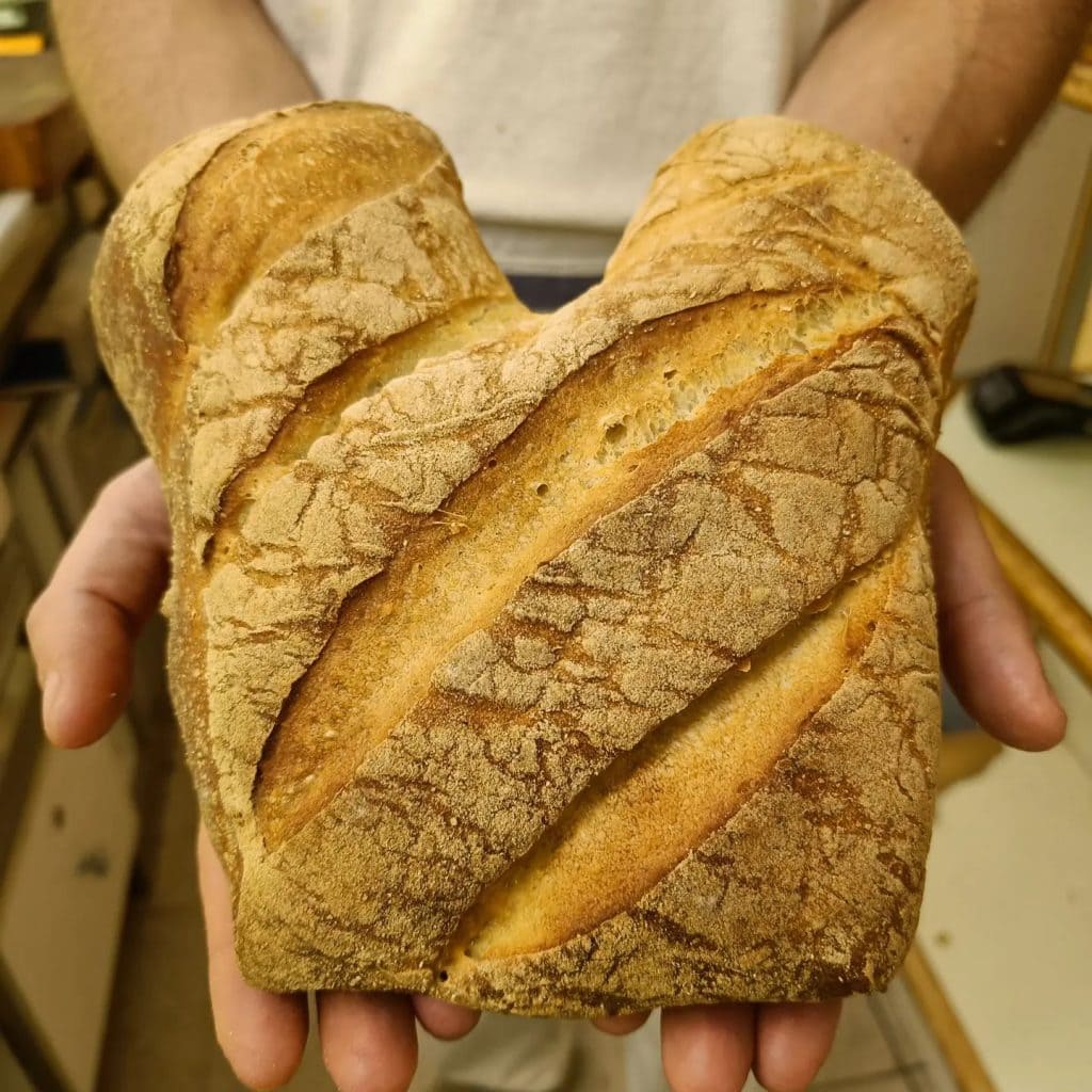 The 4 best bread bakeries in Lucca - Gambero Rosso International