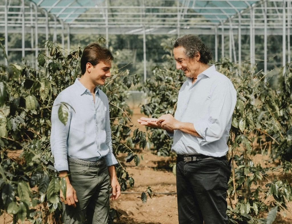 Tea, Coffee, Rice, Kombucha: Unseen Sicily Rediscovering Ancient ...