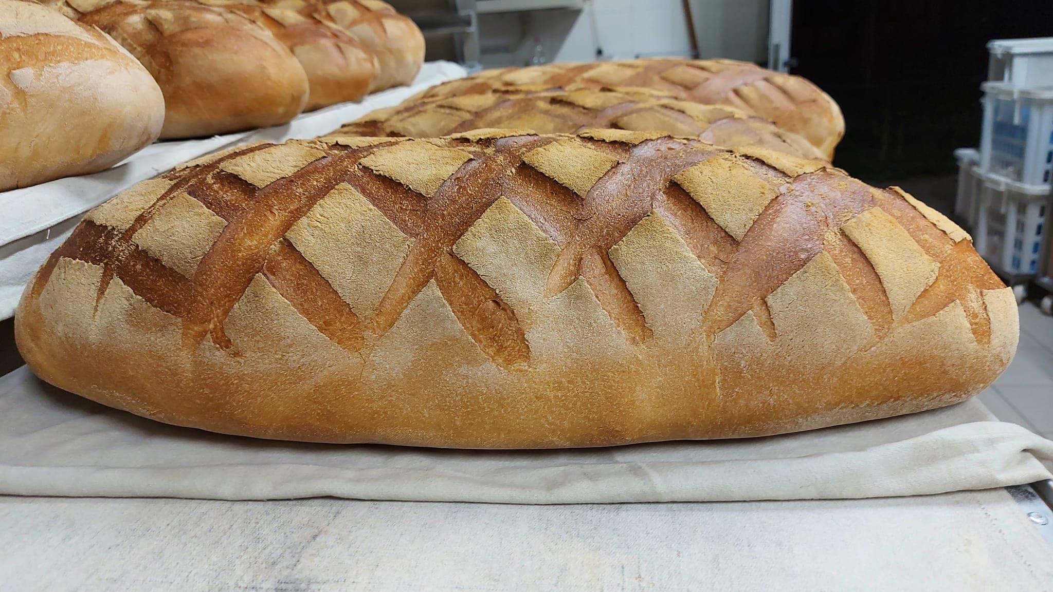 The 7 best bakeries in Padua and surroundings chosen by Gambero Rosso ...