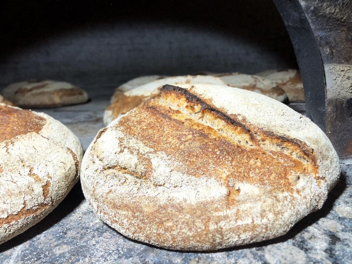 The 4 Best Bakeries in Ascoli Piceno Selected by Gambero Rosso ...