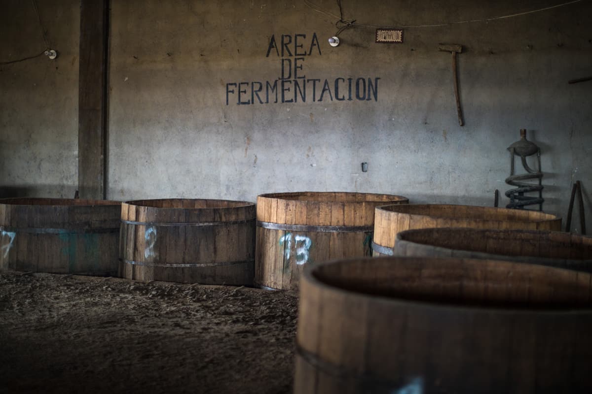 Magical Mezcal: journey to Oaxaca among small Distilleries and Agave ...