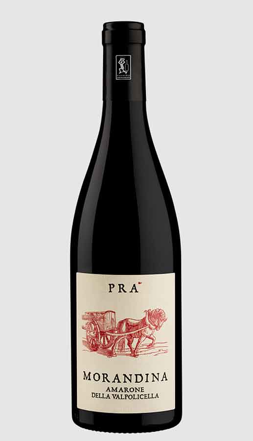 Amarone not to be missed: nine wines to mark on your calendar - Gambero ...