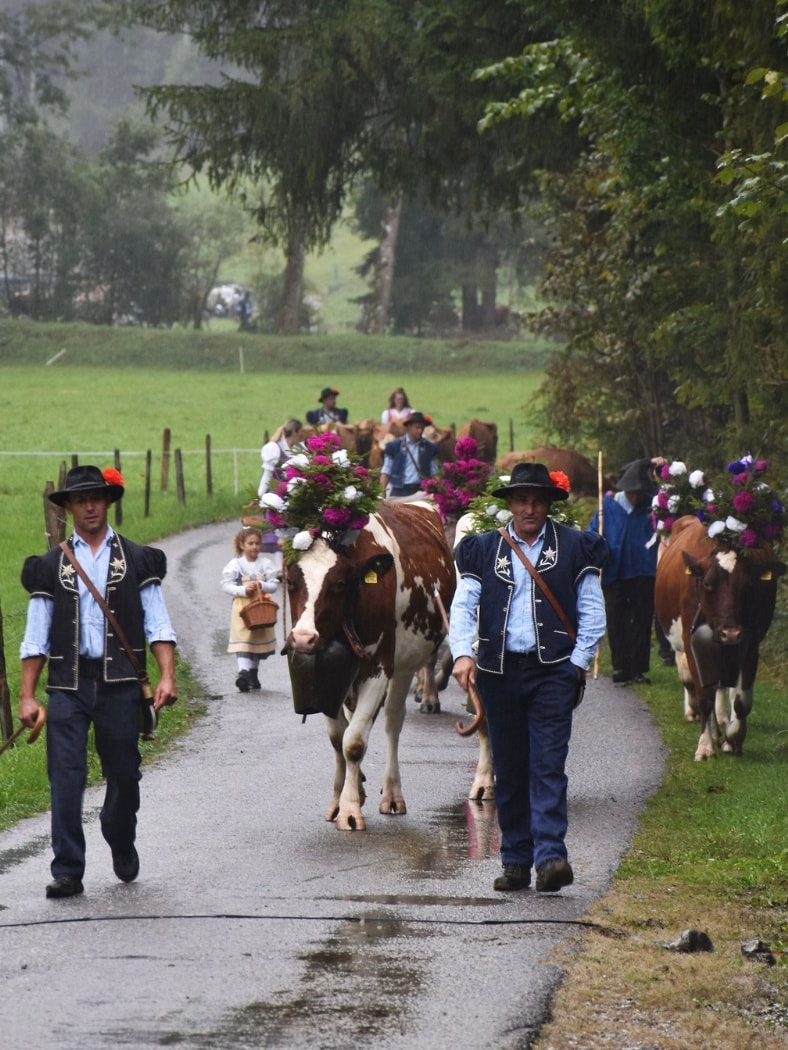 Discovering the world's best artisanal cheeses - Gambero Rosso ...