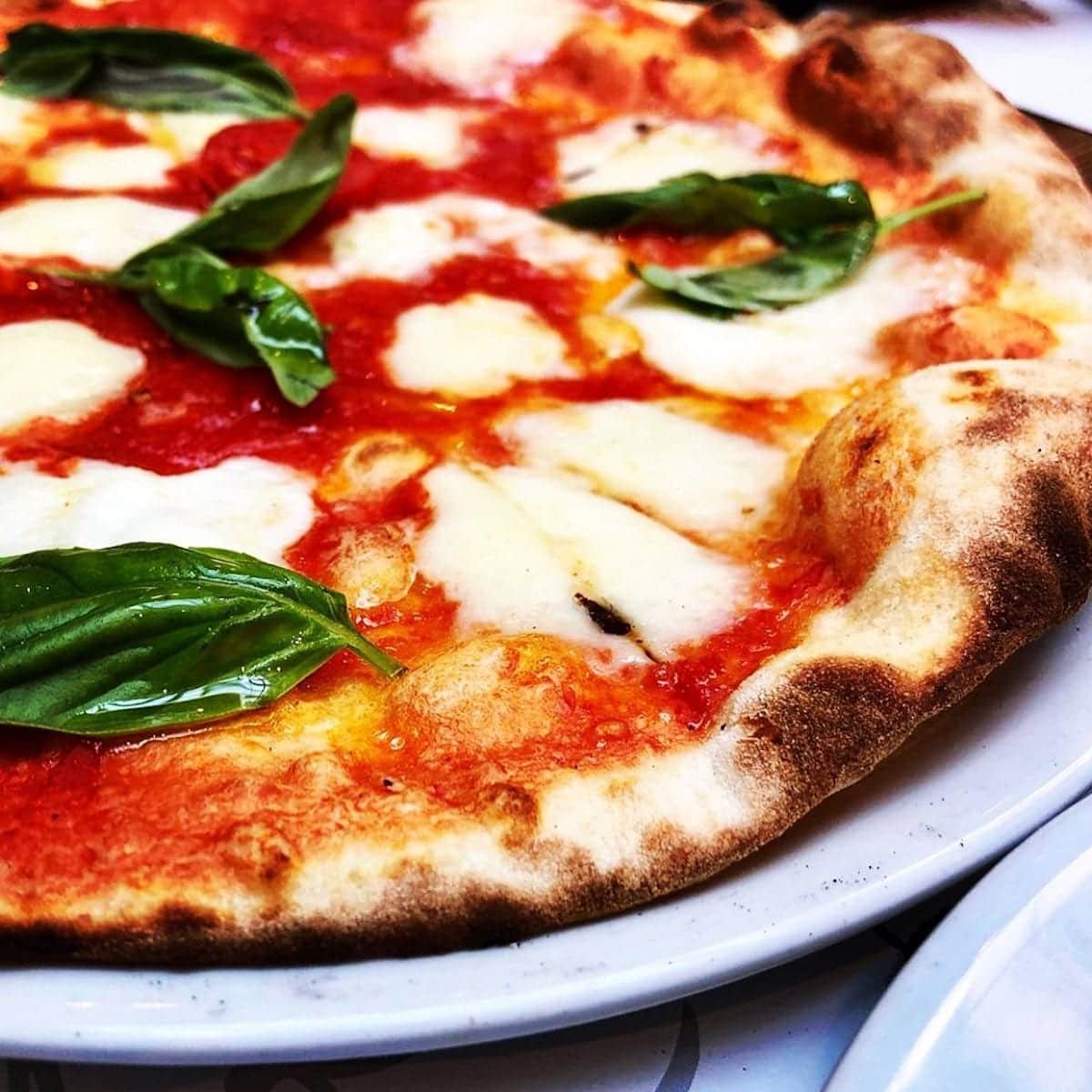 Where to eat Roman pizza: the best pizzerias in Rome - Gambero Rosso ...