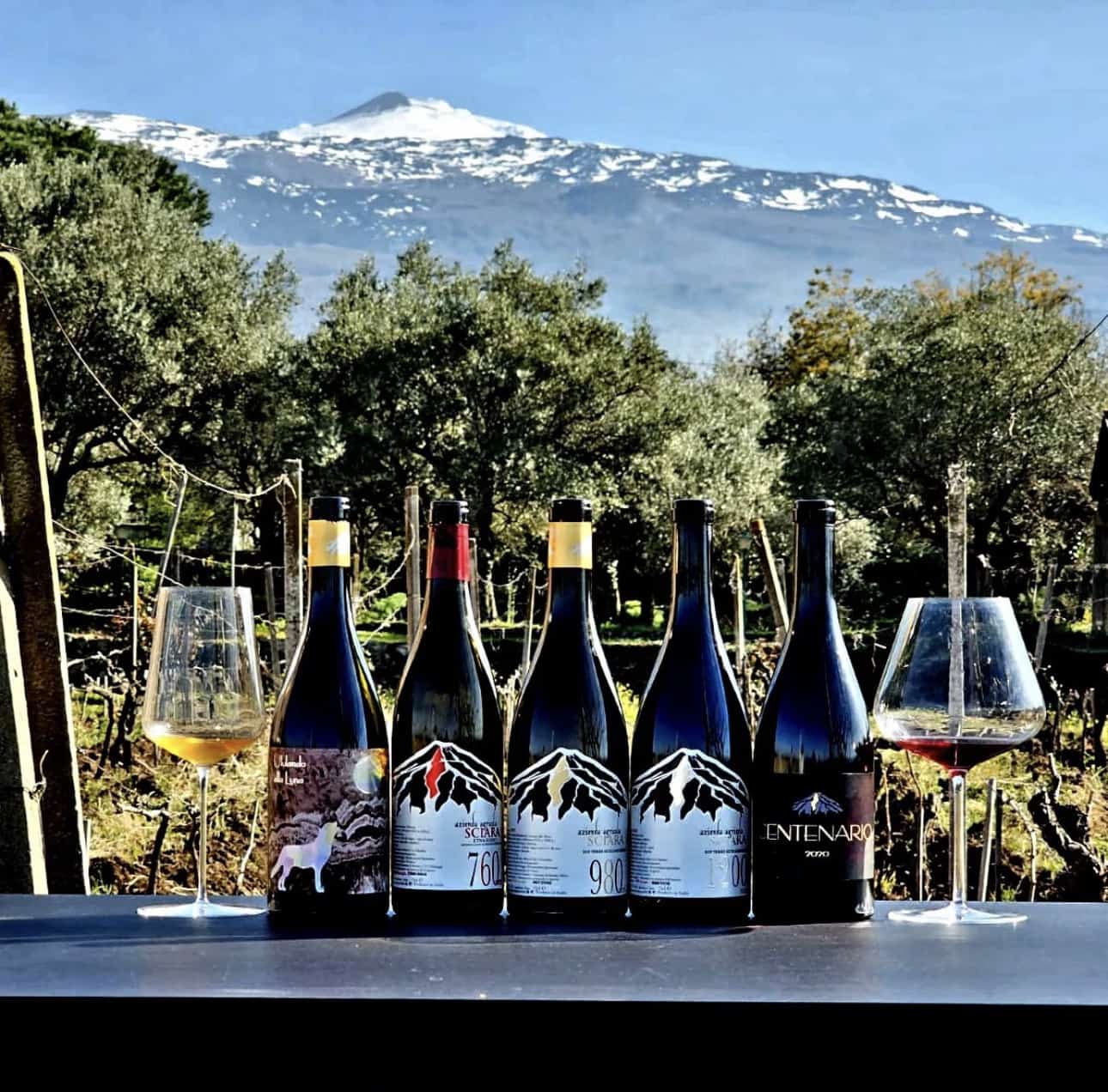 On Mount Etna, Europe's highest vineyard, they called me crazy." The ...