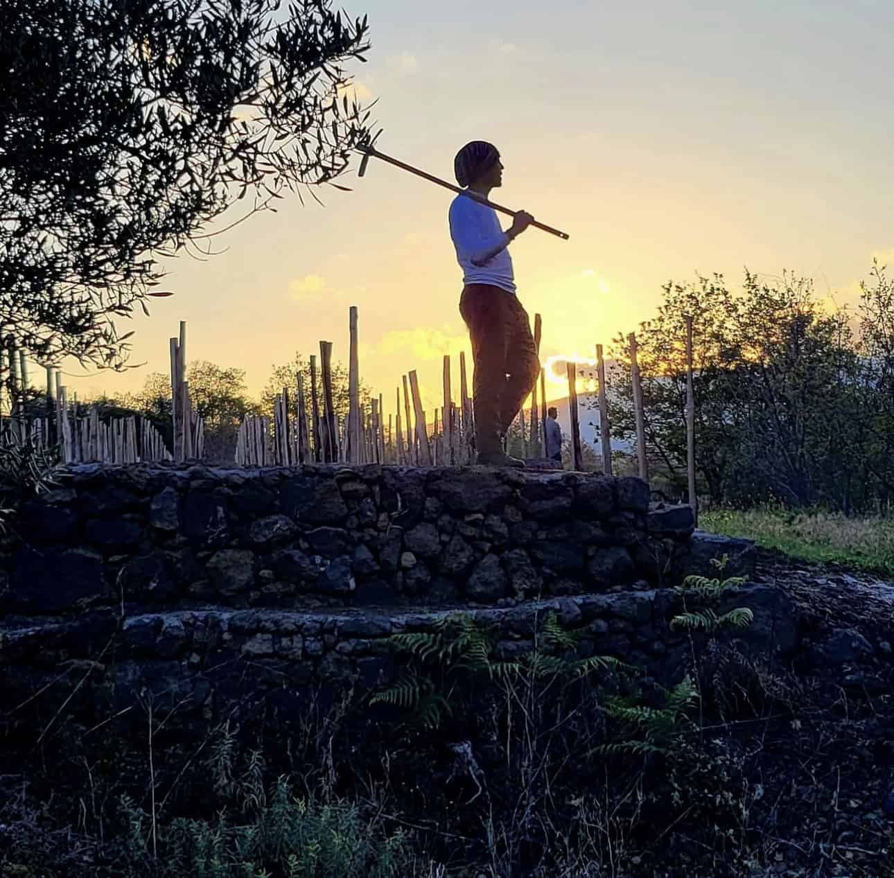 On Mount Etna, Europe's highest vineyard, they called me crazy." The ...