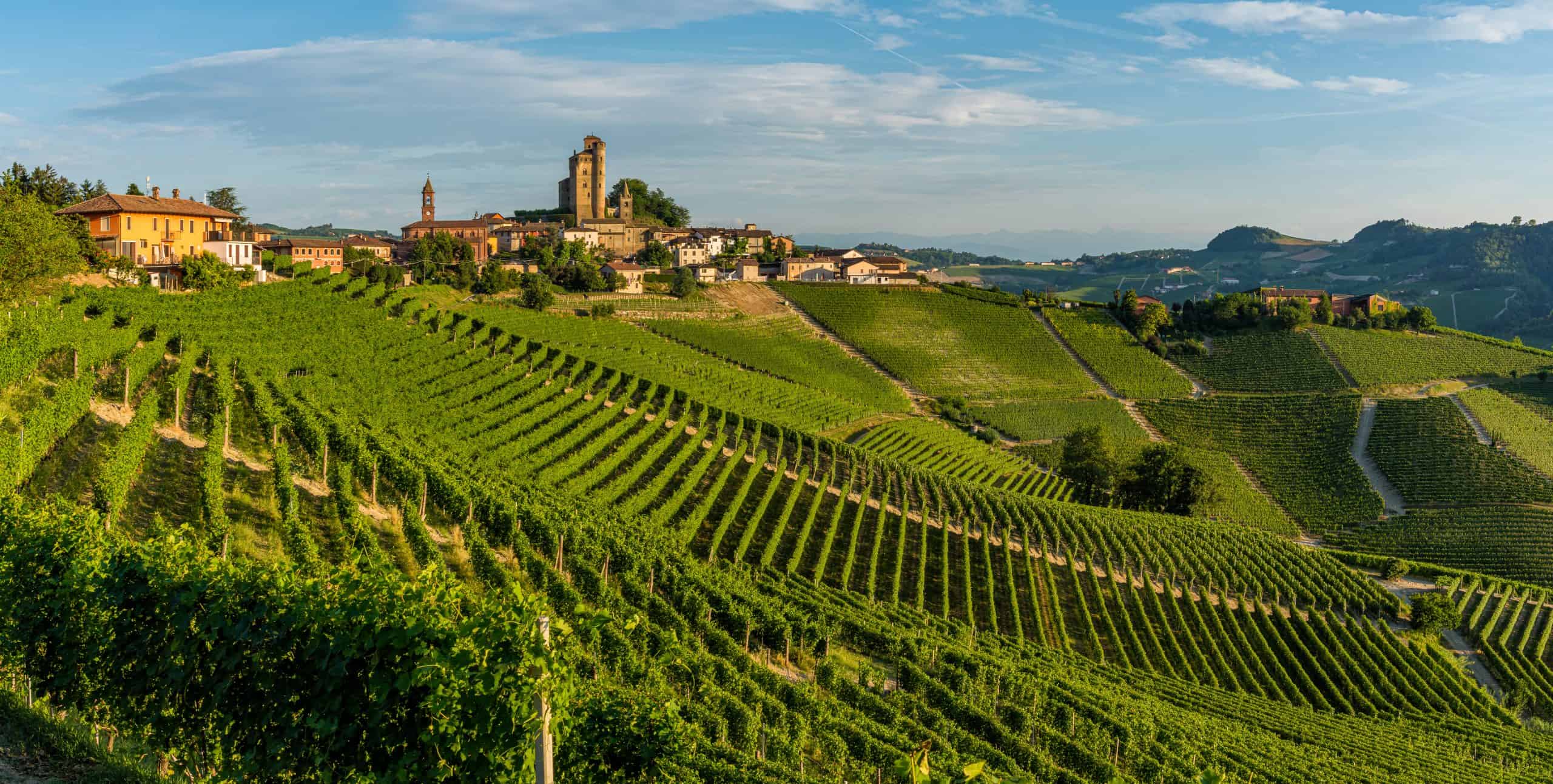 "Moving Barolo North": proposal divides the Consortium (and beyond ...