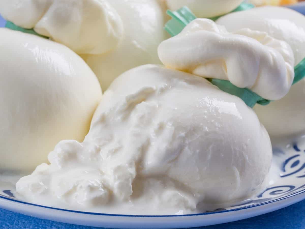 The two "rival" brothers producing the best burratas in the world ...