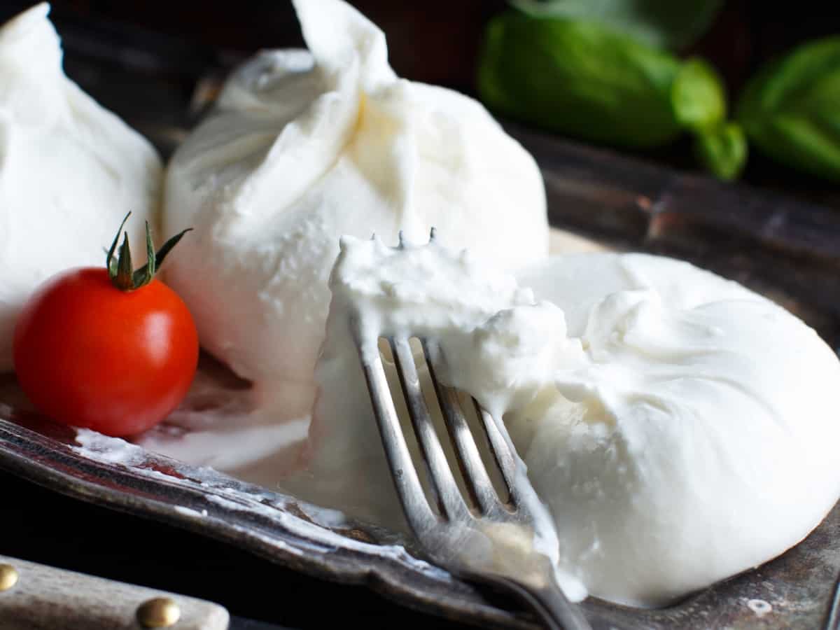 The two "rival" brothers producing the best burratas in the world ...