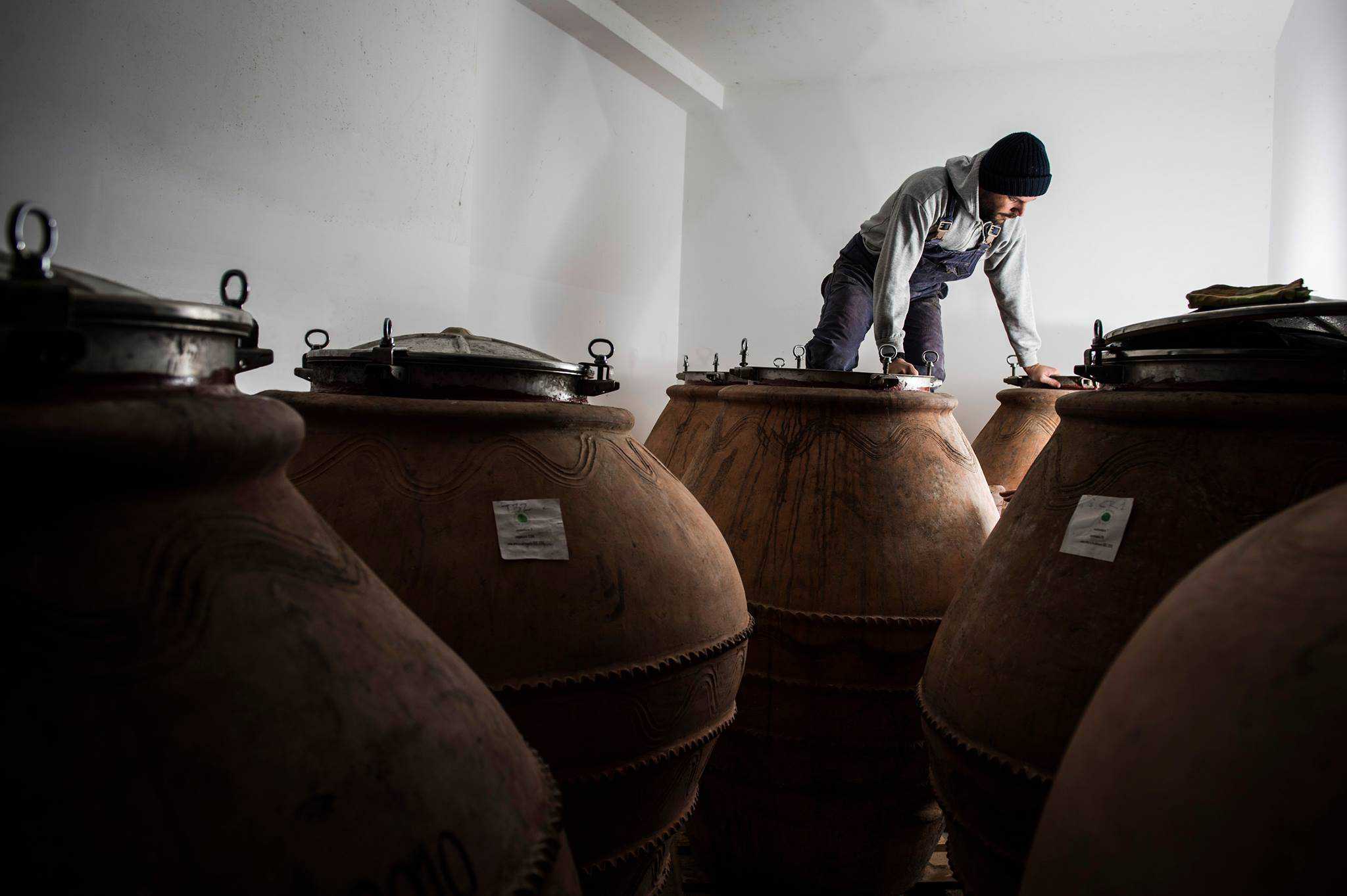 The revival of Abruzzo is driven by the new generation of winemakers ...