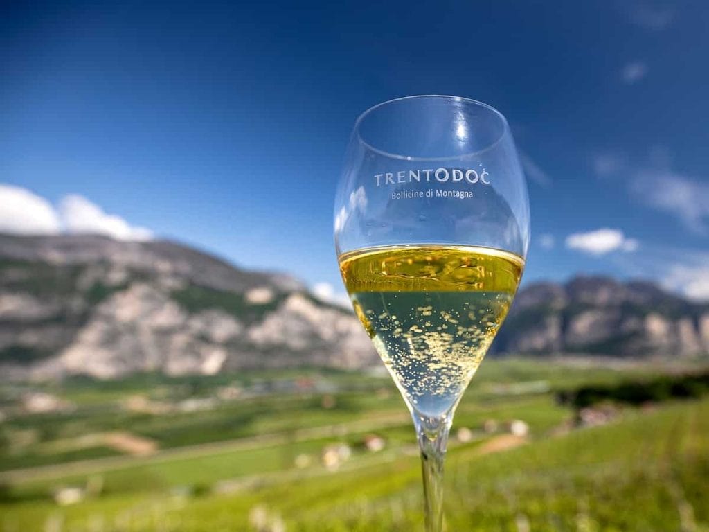 What wines do Italians love? Here are the favorite wine regions ...