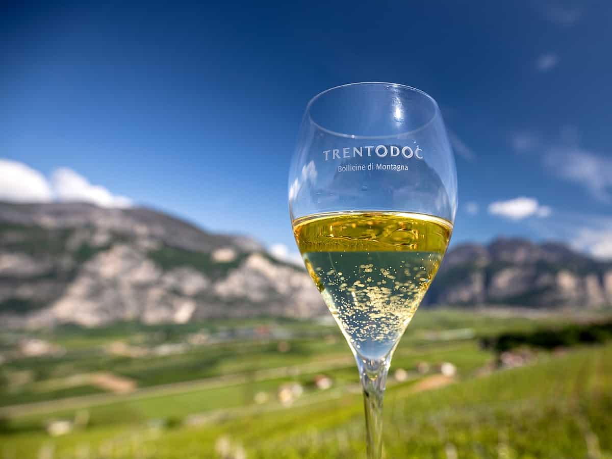What wines do Italians love? Here are the favorite wine regions ...