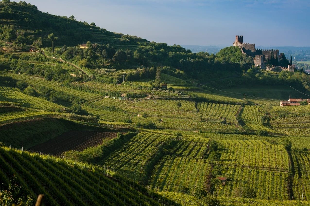 20 of the best soave wines chosen by Gambero Rosso - Gambero Rosso ...