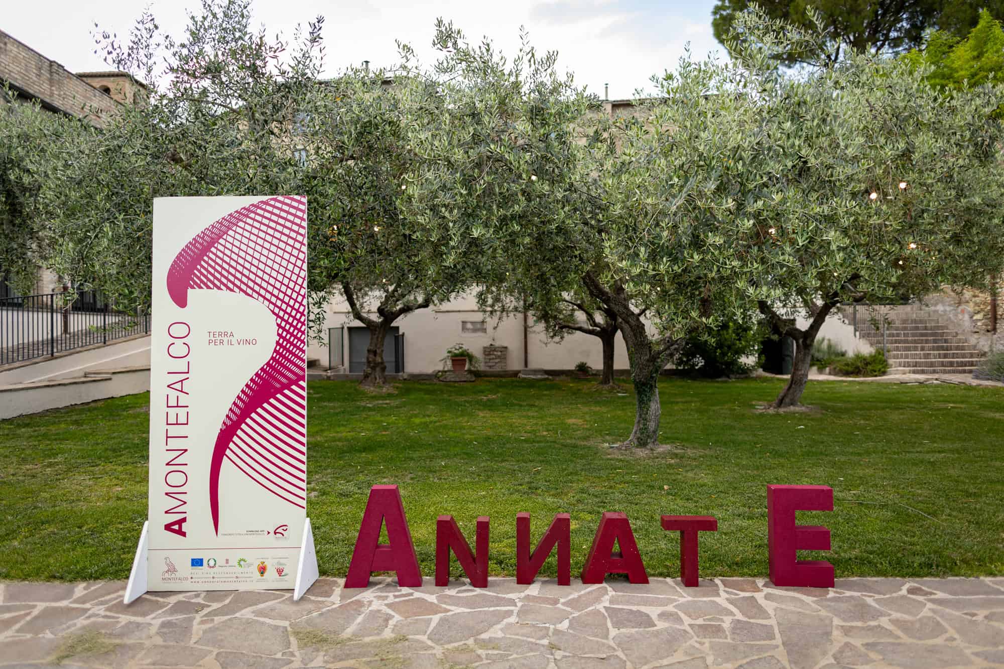 Preview Montefalco: here are 10 wines (plus an outsider) chosen by ...