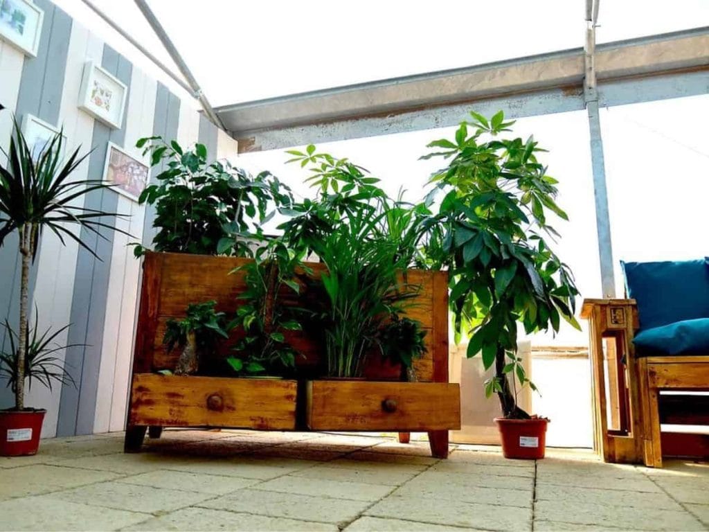 Where to eat in gardens, greenhouses, and nurseries in Rome: the best ...