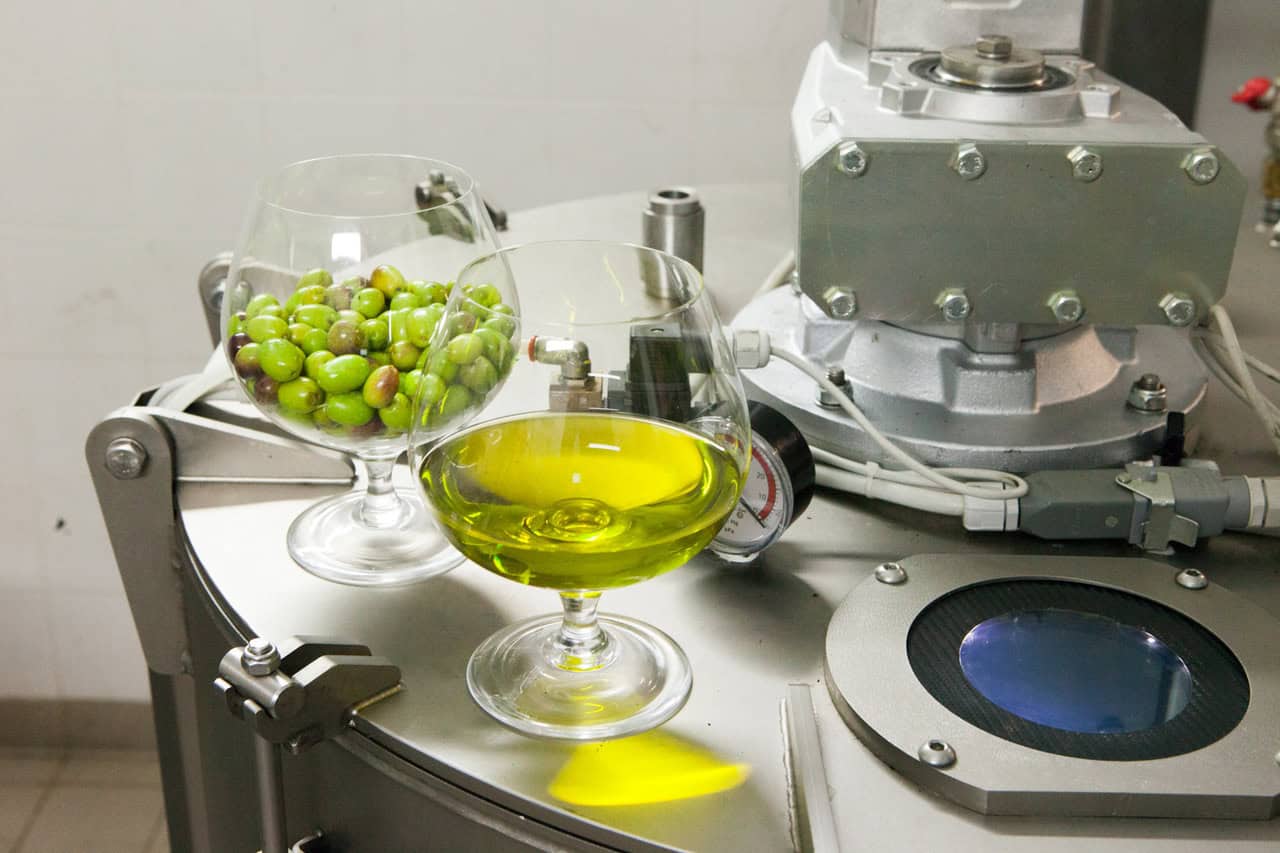 "Oil can't cost less than €15 per litre." Interview with Fioi President ...