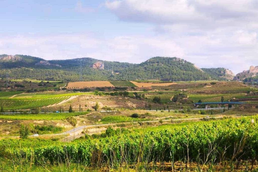 Italy beats Spain and ranks second as the most competitive wine nation ...