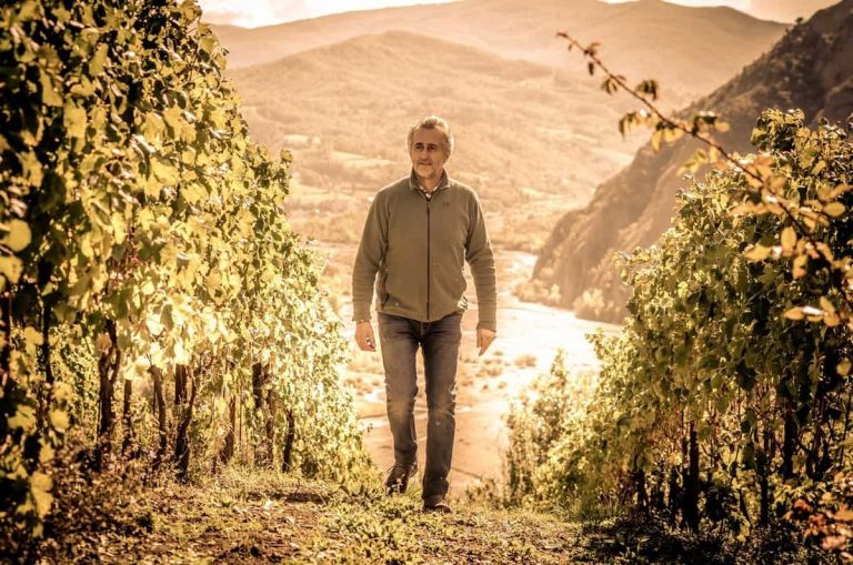 The 21 best Timorasso wines chosen by Gambero Rosso - Gambero Rosso ...