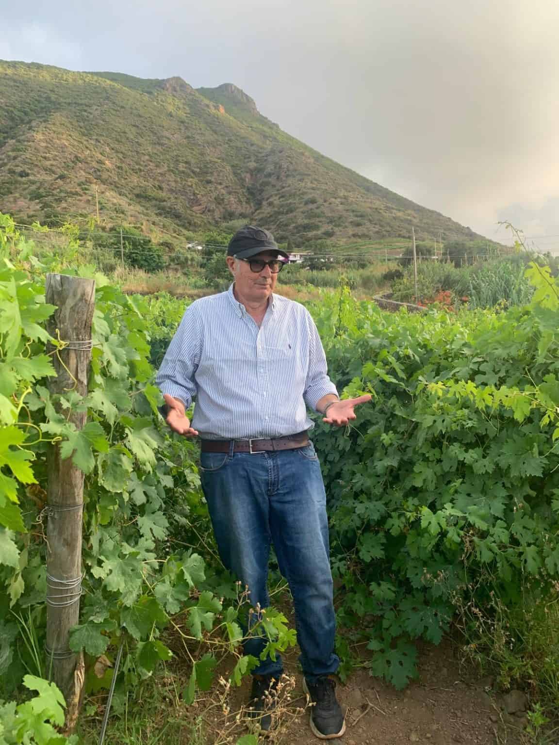A Sicilian winemaker is revitalizing viticulture on the Stromboli ...