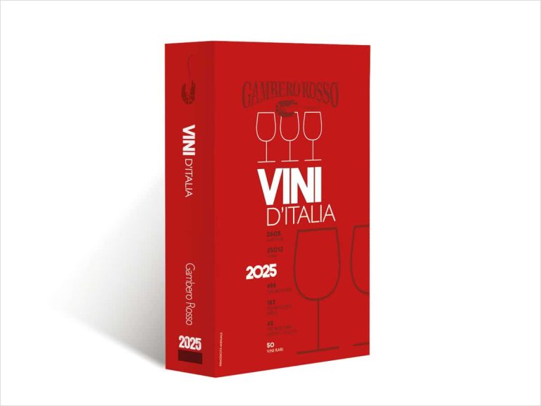 Italy wine guide 2025: the special awards assigned by Gambero Rosso ...