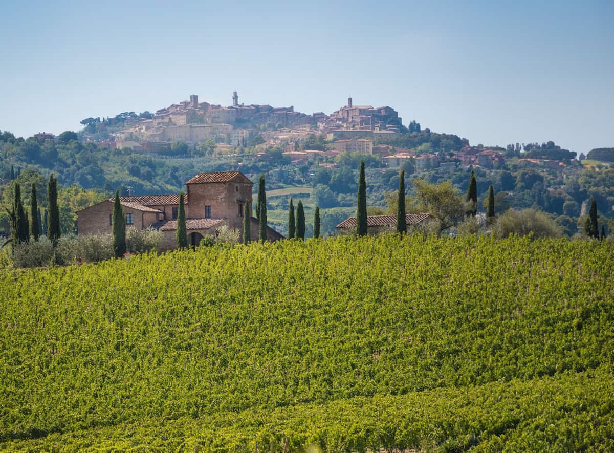 The 6 best Nobile di Montepulciano wines selected by Gambero Rosso ...