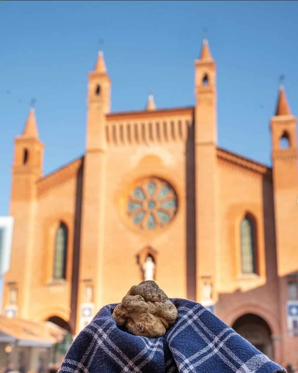 The best Trattorias to enjoy white truffle in Alba and surrounding ...