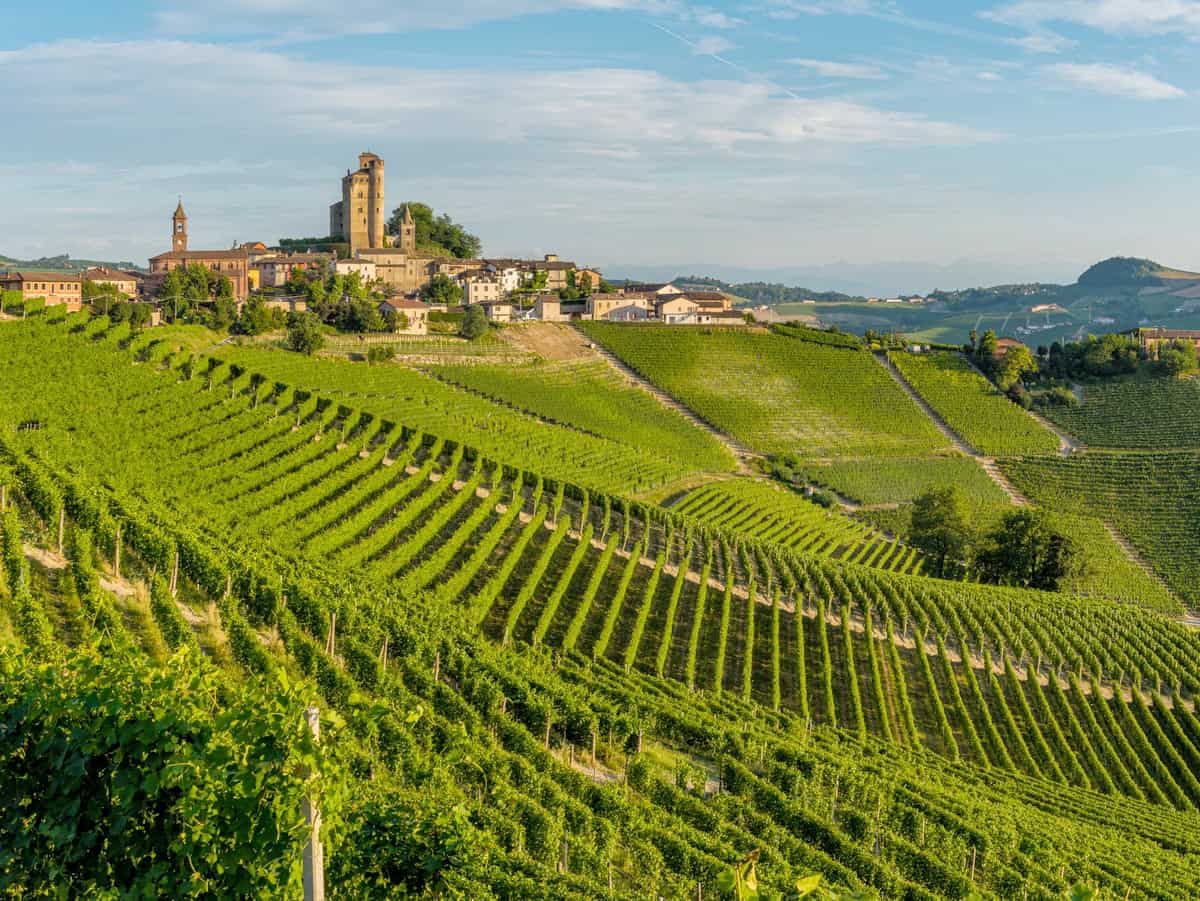 The 19 best Barolos selected by Gambero Rosso Gambero Rosso International