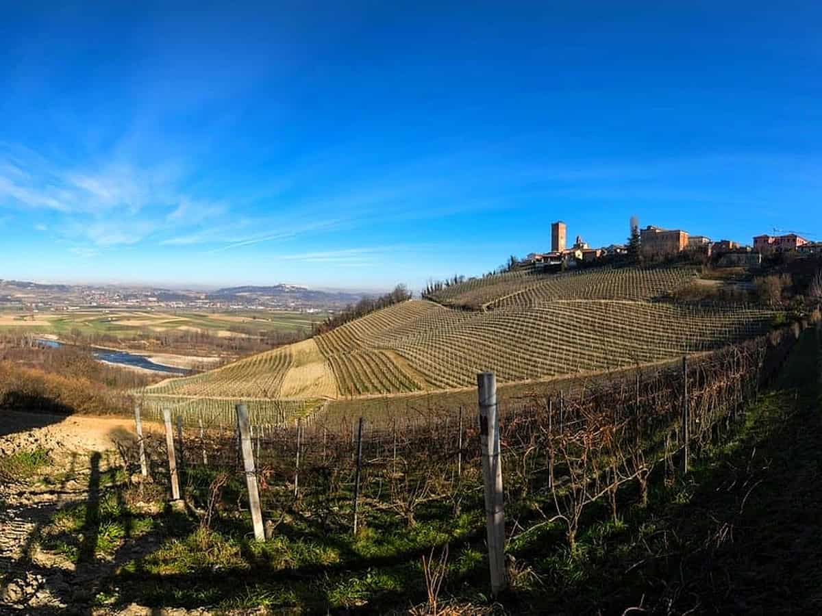 "Trump? With Italian wine, he has already been a benefactor: you can't ...