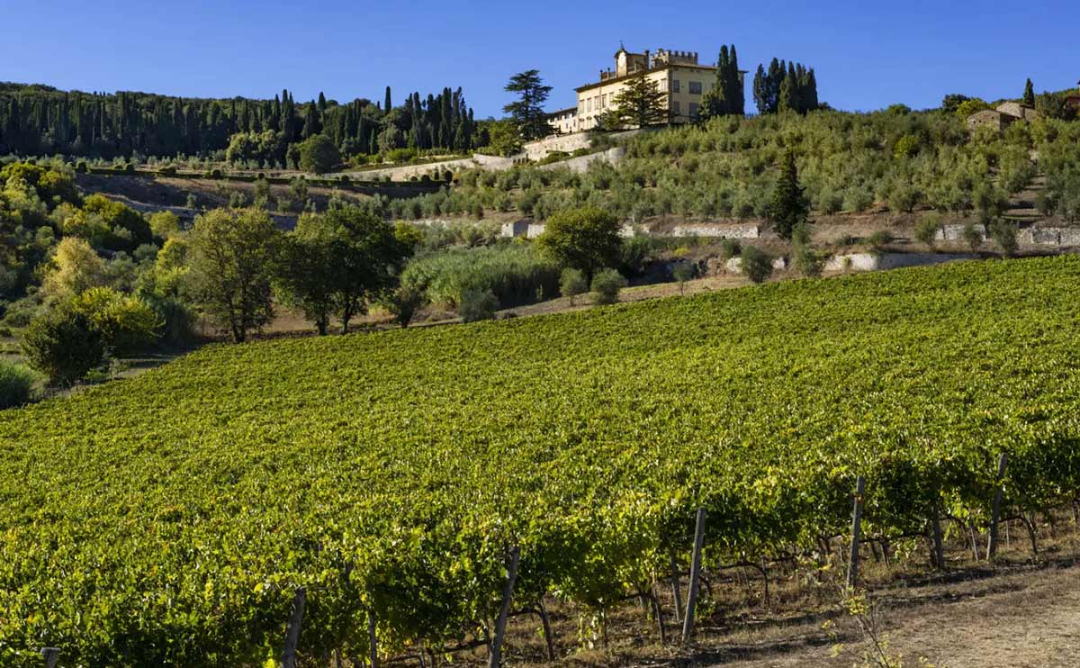 The great Chianti Colli Fiorentini from the family that invented Vermouth Gambero Rosso ...