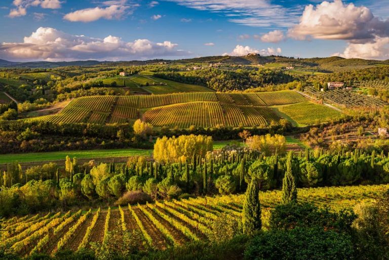 Tre Bicchieri 2026: the best wines from Tuscany awarded by Gambero ...
