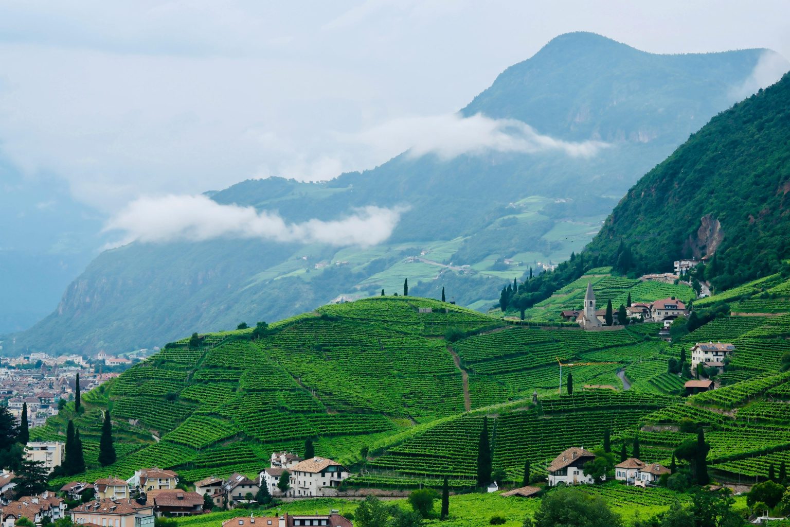 Why the Italian wine industry should 'stick to it' in the US market